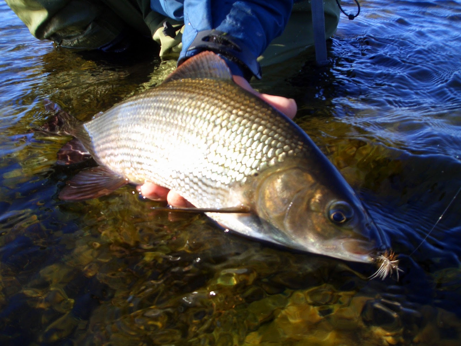 Best Fishing Spot Resorts